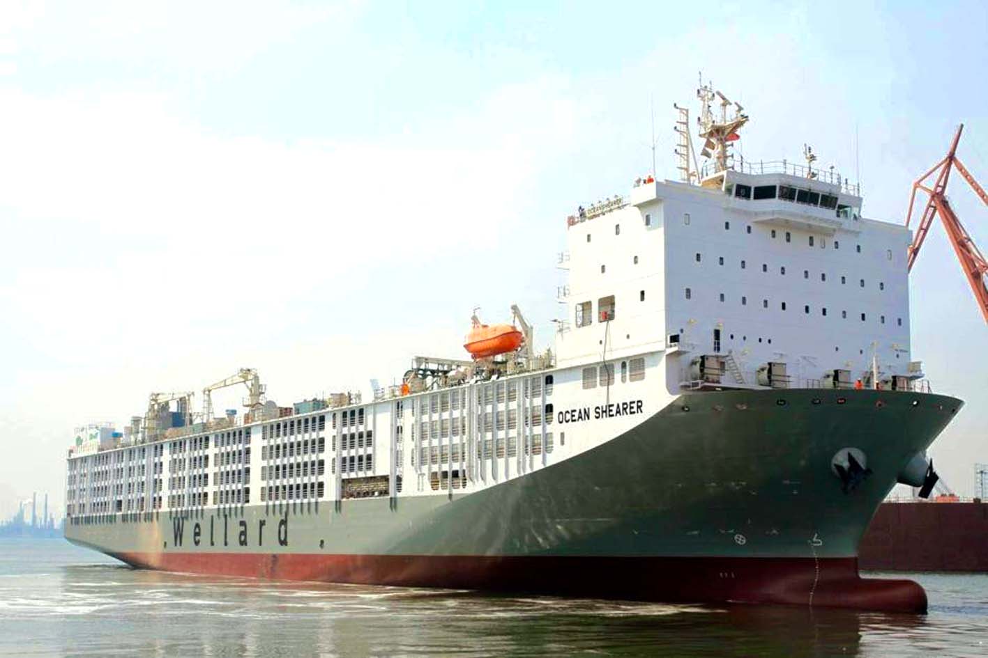 World’s largest livestock carrier | Ships Monthly